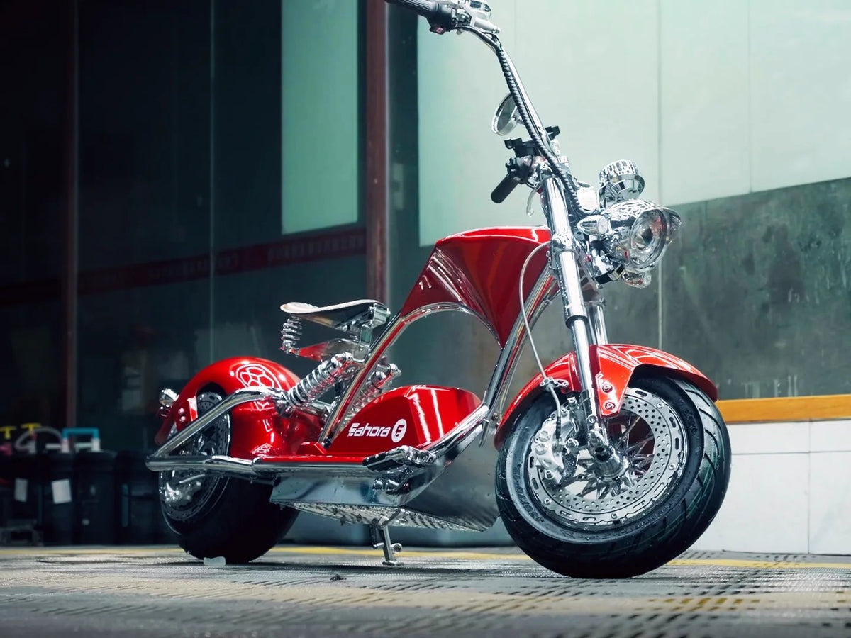 Tiger King 3000-Mile Deep-Dive: The Off-Road Electric Scooter That ...